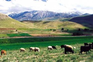 Oshtoran kooh Mountain 2022 | Azna, Lorestan | Sights - Iran Travel and ...