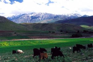 Oshtoran kooh Mountain 2022 | Azna, Lorestan | Sights - Iran Travel and ...