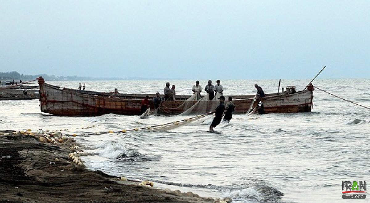 Bandar Anzali city 2023, Gilan province - Things to do and places to ...