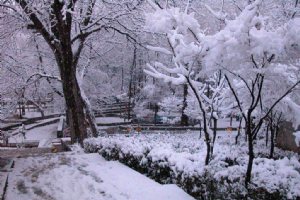 Khansar city 2025, Isfahan province - Things to do and places to visit ...