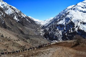 Oshtoran kooh Mountain 2022 | Azna, Lorestan | Sights - Iran Travel and ...