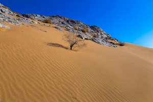 Ferdows city 2025, South Khorasan province - Things to do and places to ...