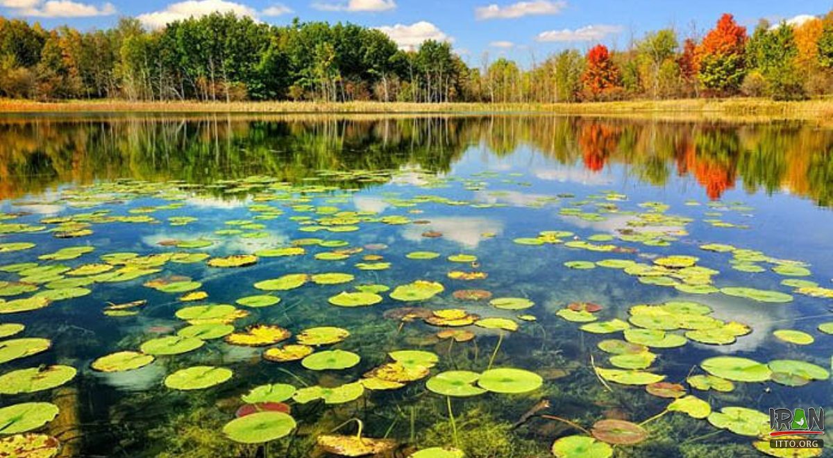 Babol city 2025, Mazandaran province - Things to do and places to visit ...